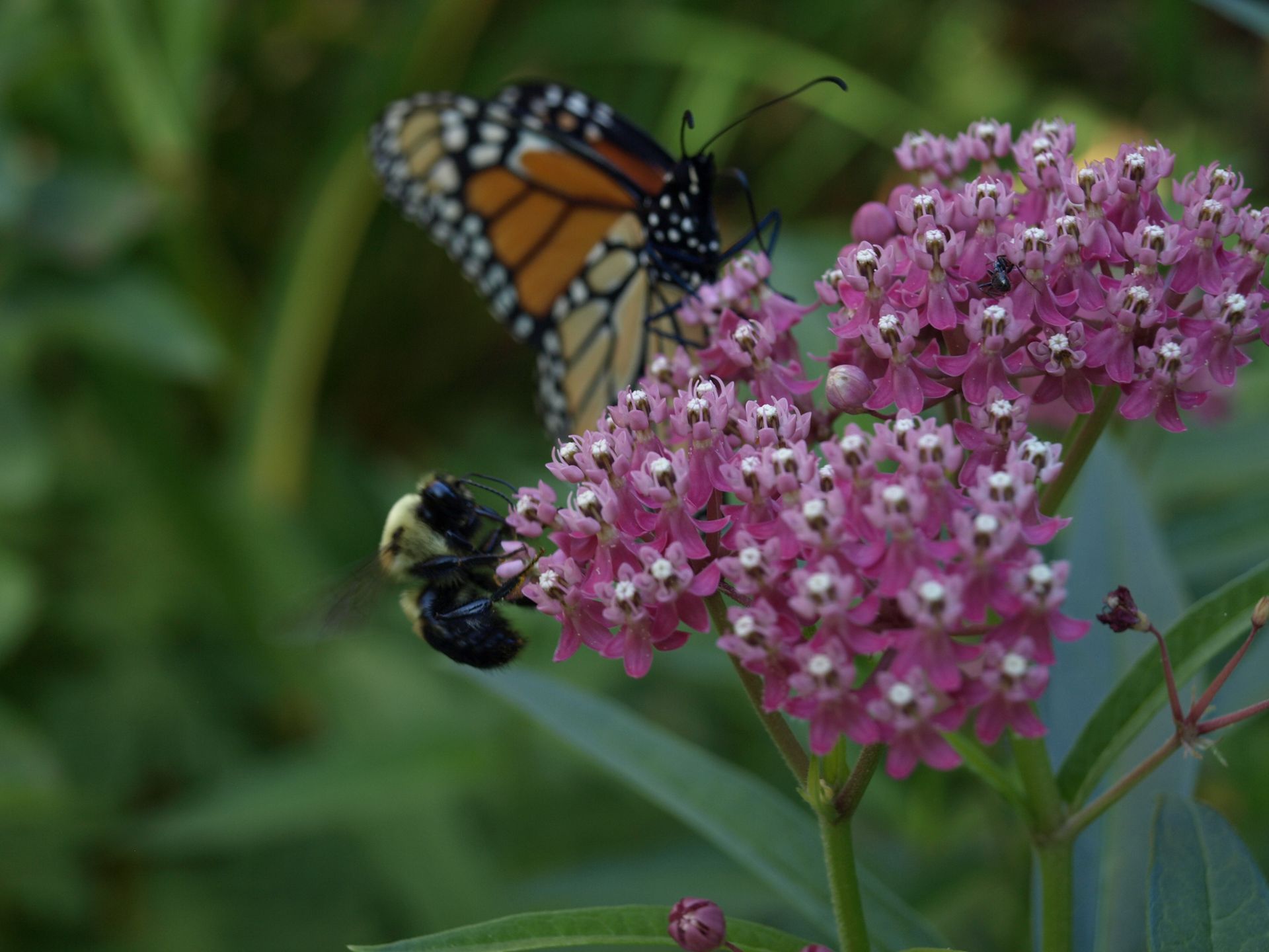 Stay Informed with the Latest Buzz