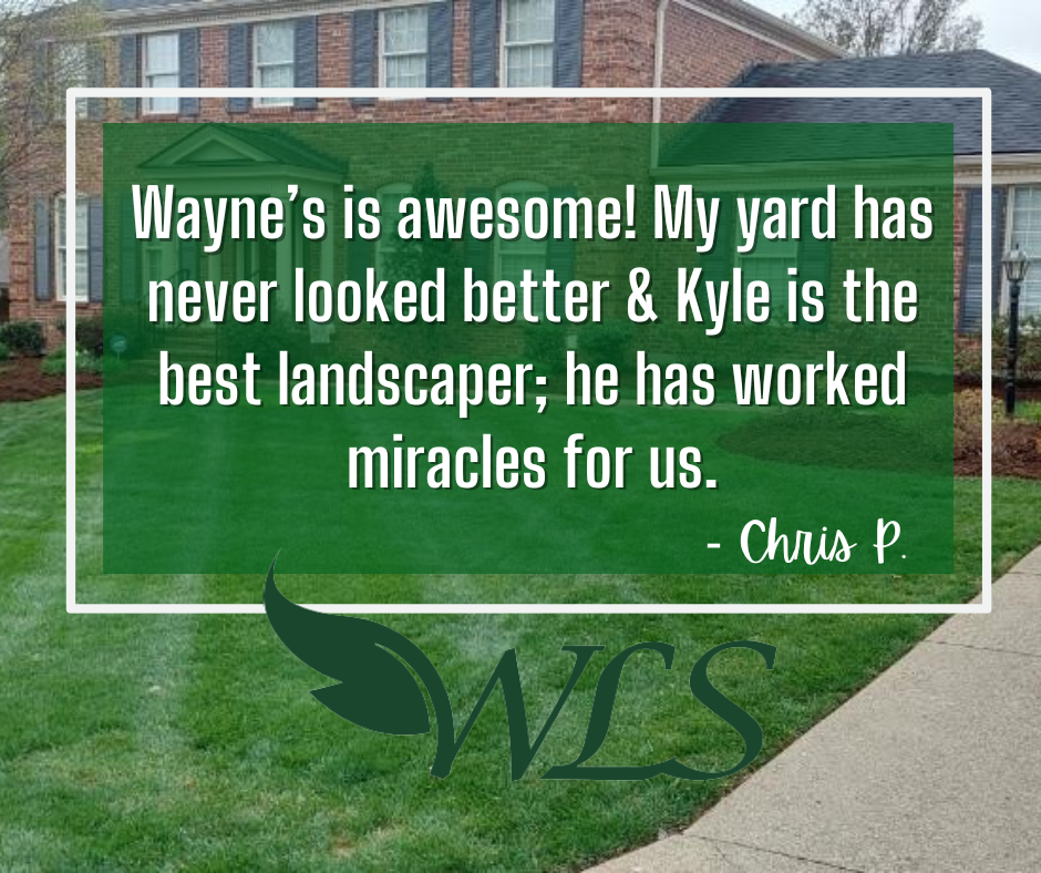 Landscape Care - Louisville, KY - Wayne’s Lawn Services