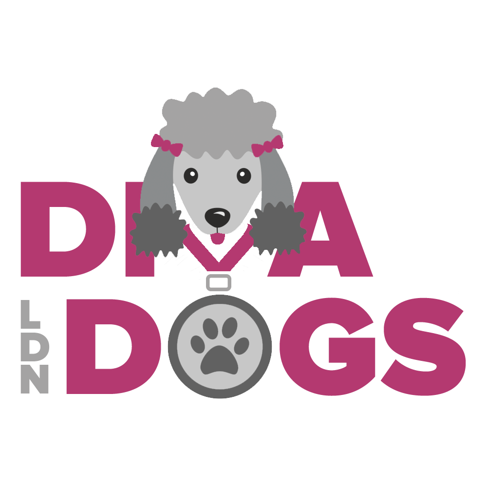 Dog Maintenance | Diva Dogs London