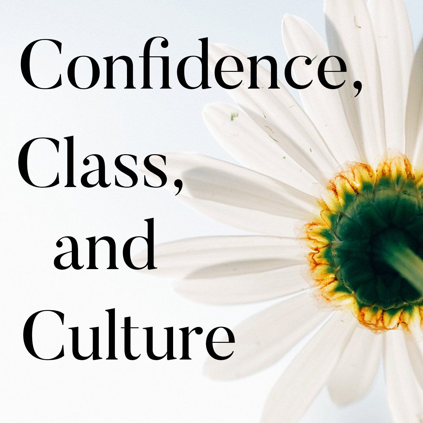 Confidence, Class, and Culture