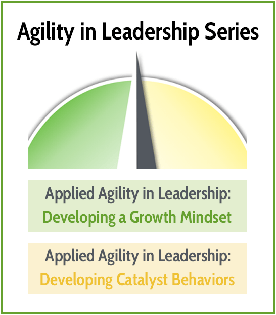 Leadership Development Program | Agile Leadership Journey