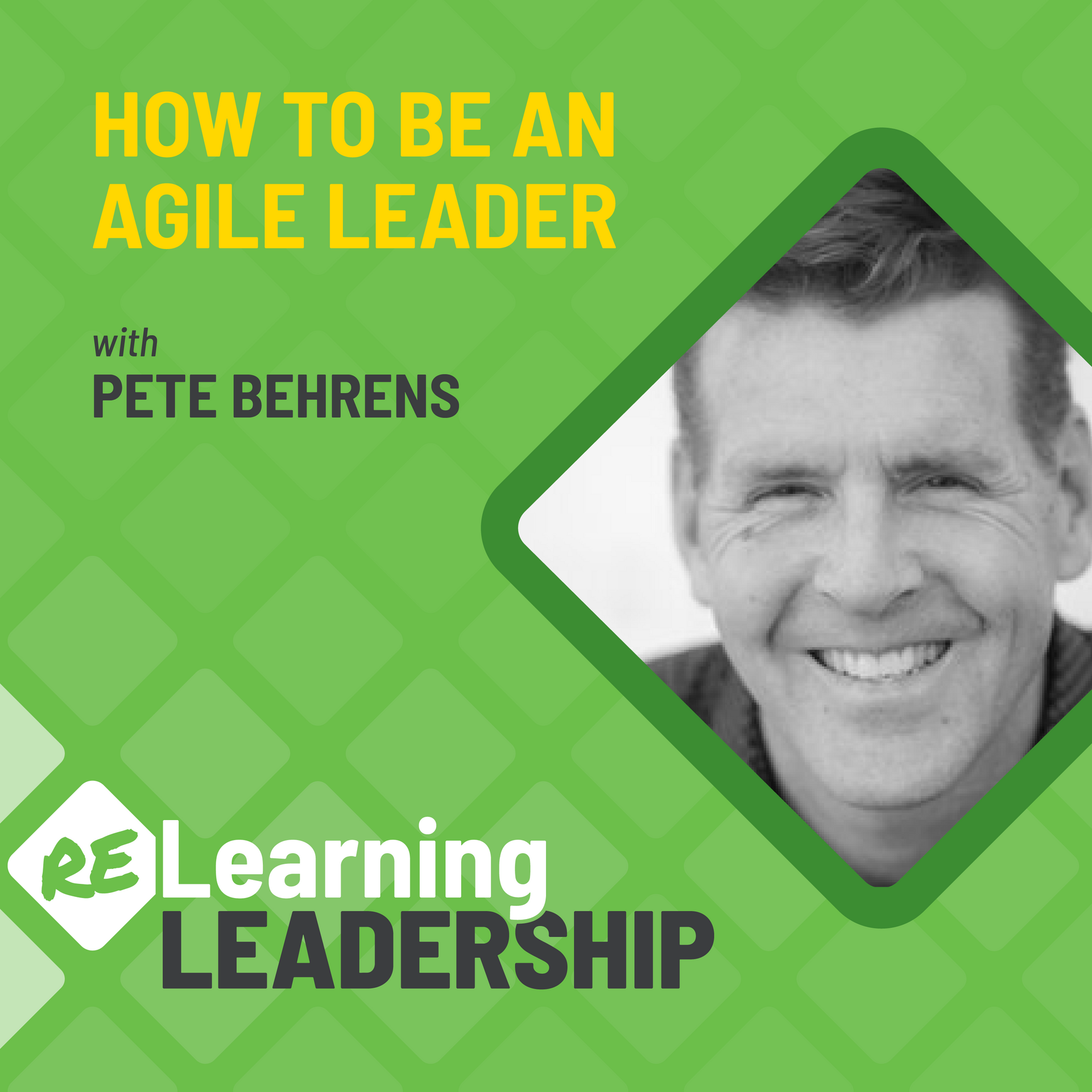 47: How To Be An Agile Leader | Agile Leadership Journey