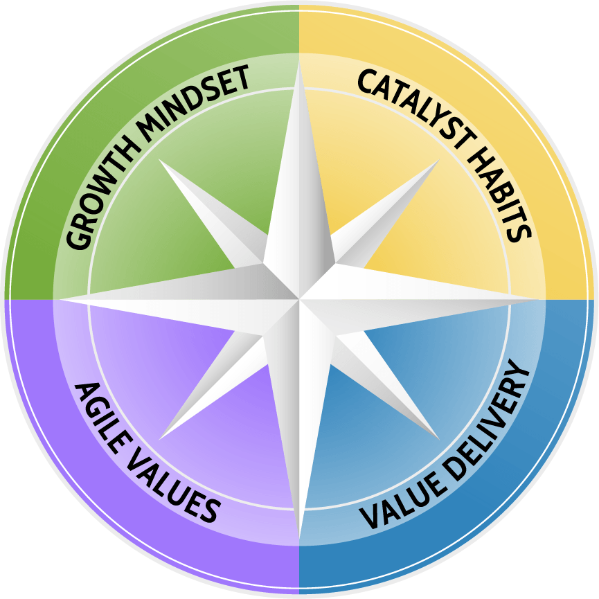 Leadership Compass | Agile Leadership Journey