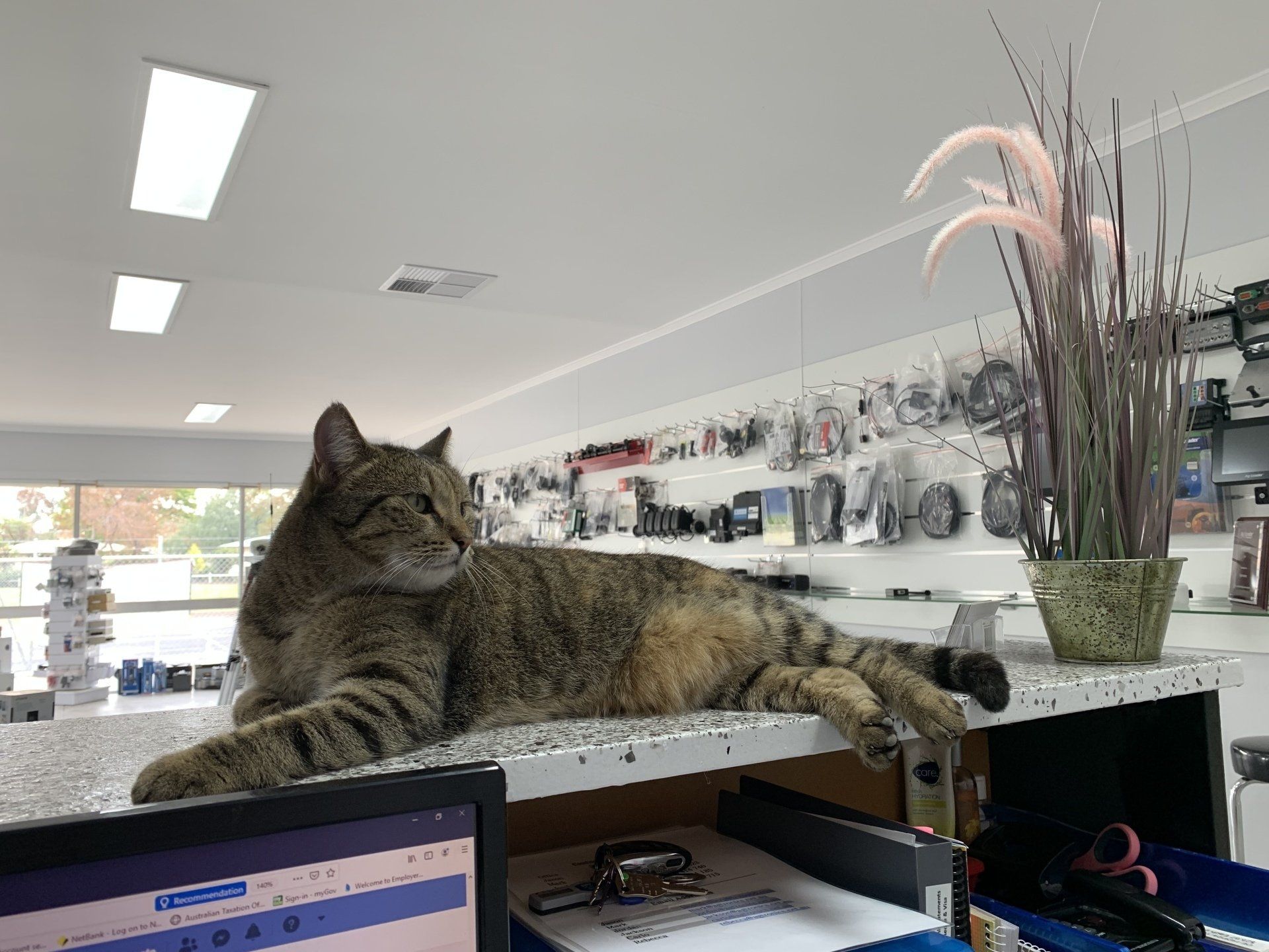 Agtronics - Goondiwindi, QLD - Home