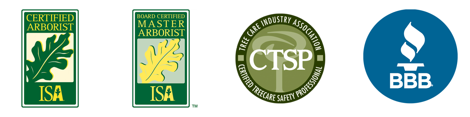 Tree Service Fort Lauderdale | Tree Trimming | Tree Removal