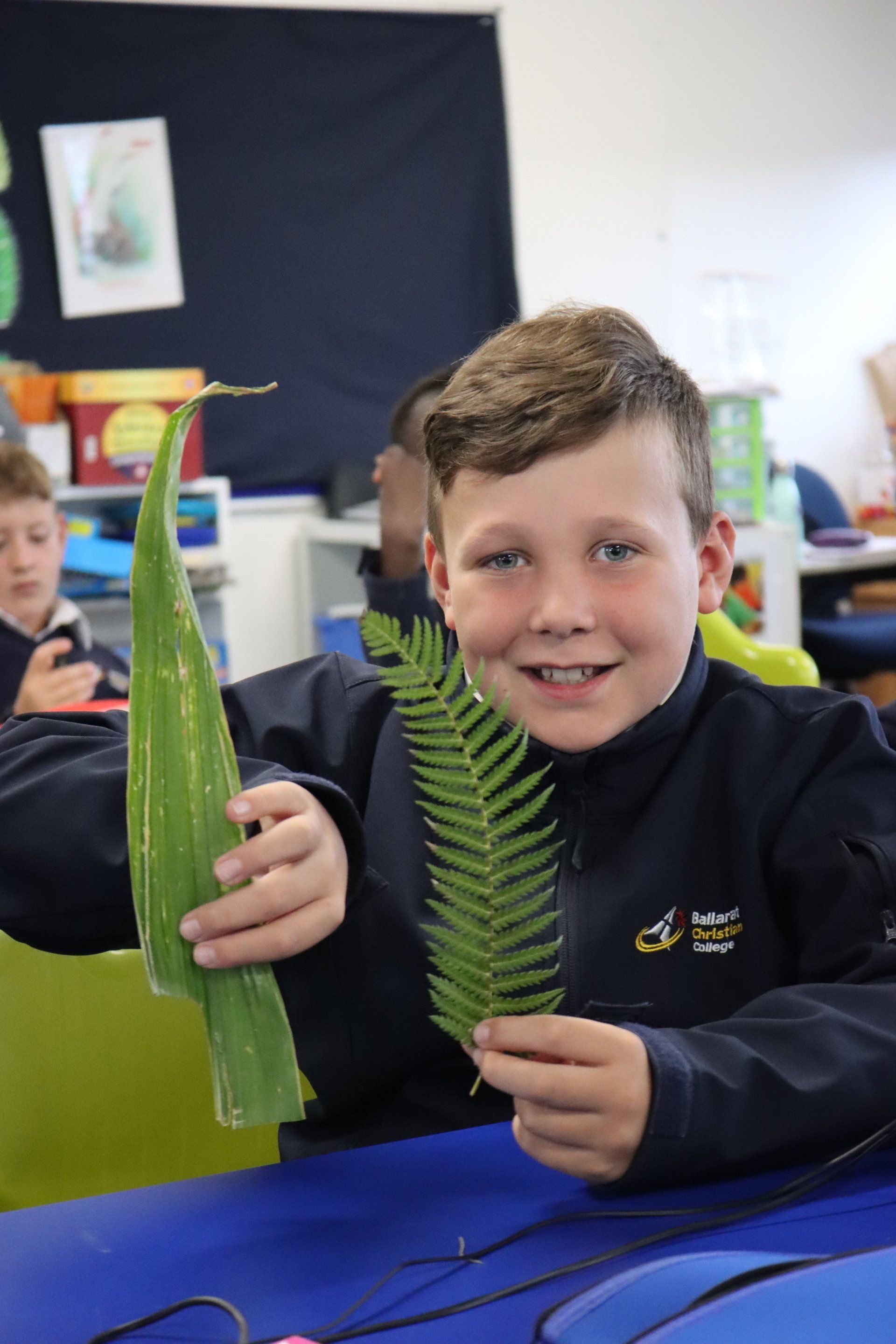 Year 3-4: Ecolinc Plant Incursion