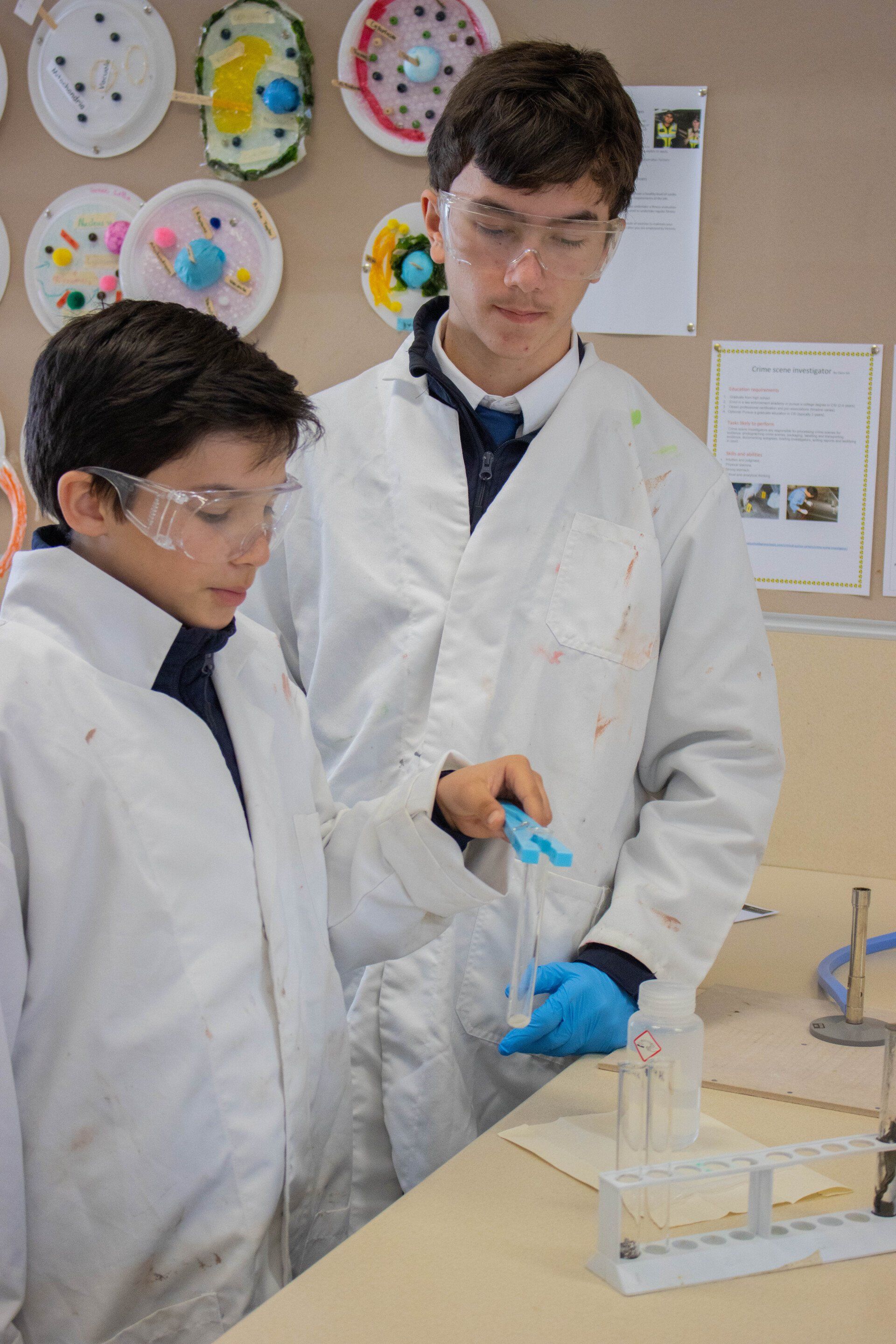 Year 8 Science: Chemical Reactions