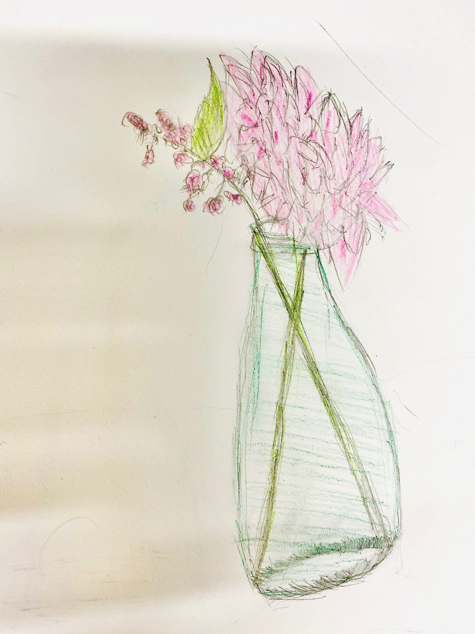 Year 9: Visual Arts Still Life