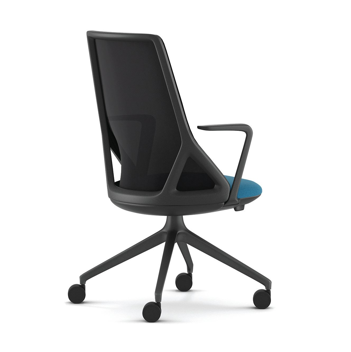 Cicero Collection | Pledge