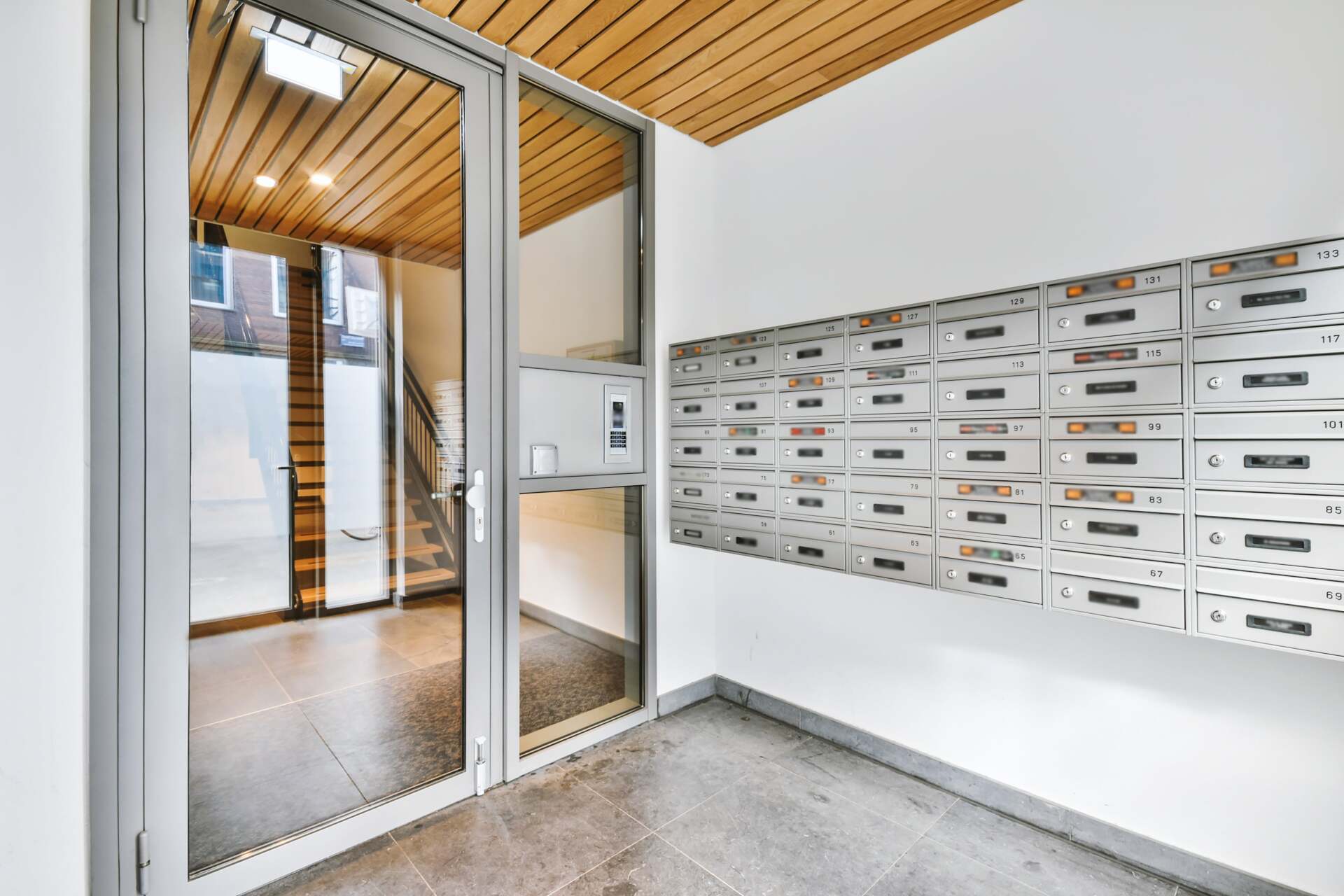 BioClean CT: Connecticut's Mold Removal & Remediation Professionals