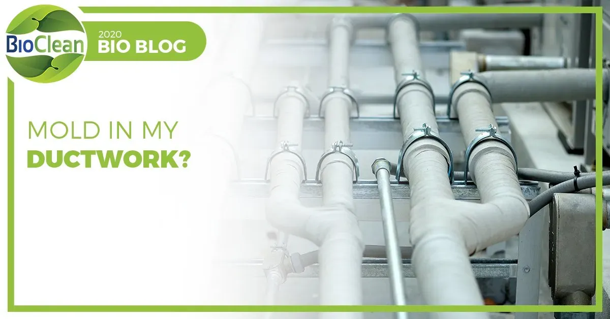 How Can I Tell if There’s Mold in My Ductwork?