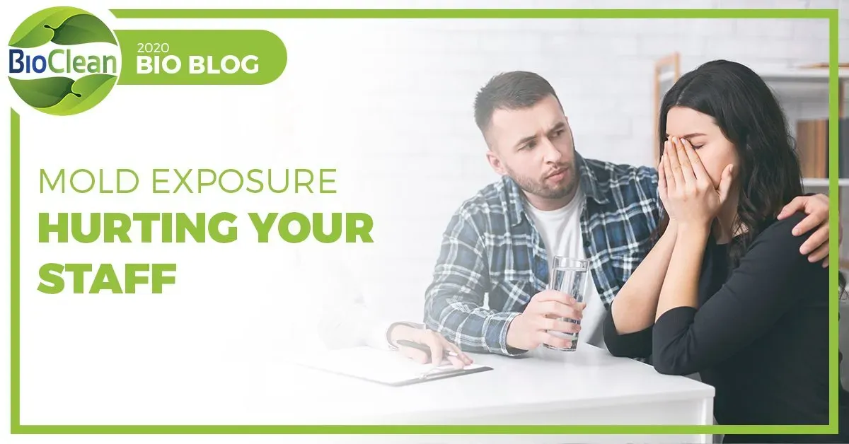 How Mold Could Affect Your Staff and Customers in Your Office
