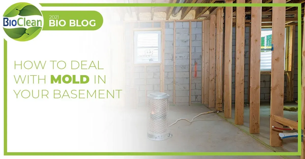 How to Deal With Mold in Your Basement