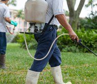 White Ants Pest Management in Bundaberg, Woodgate & Childers