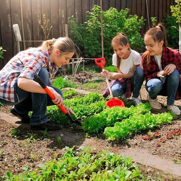 Ideas for Low-Cost Intergenerational Spring Activities at Your ...