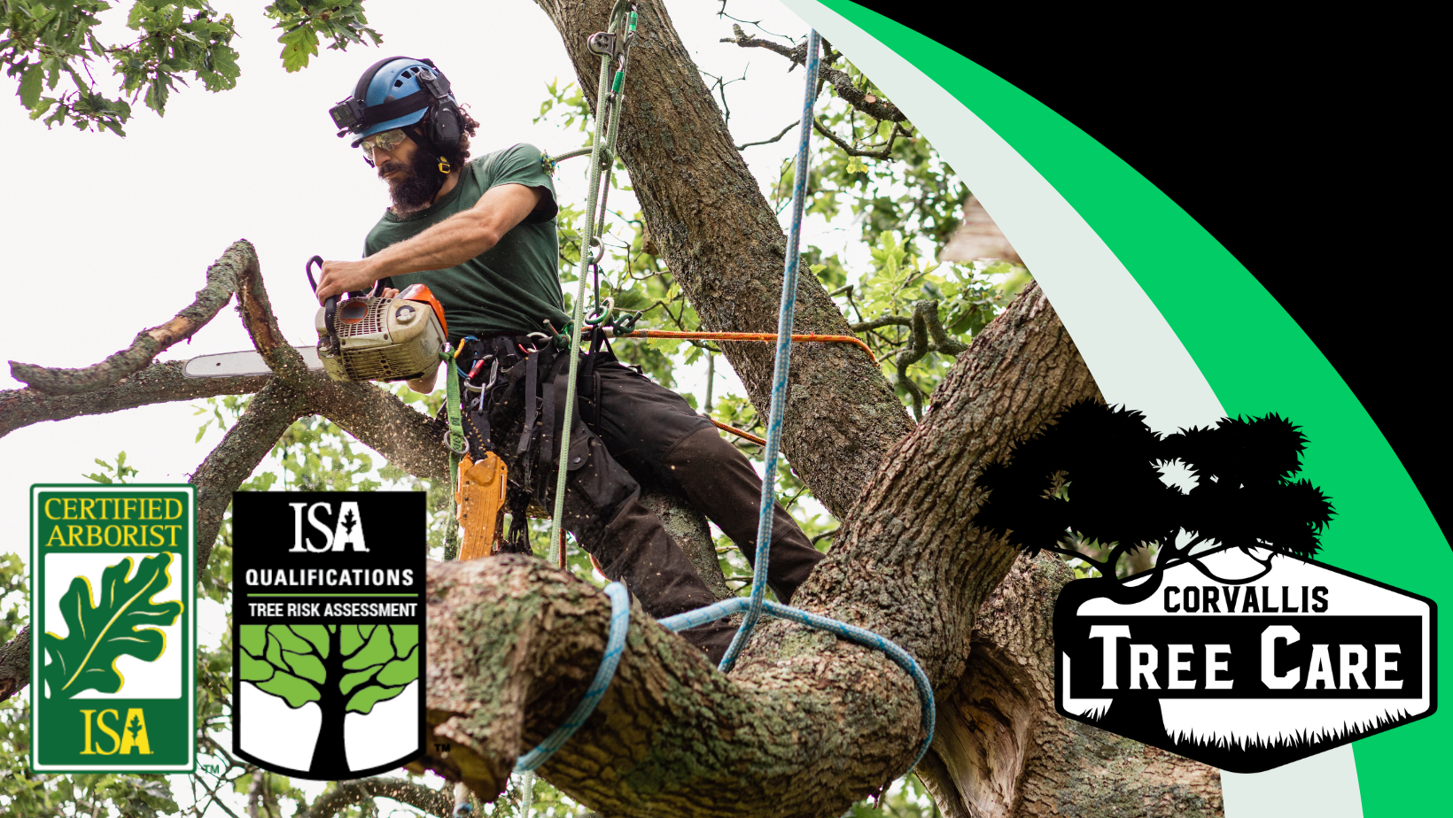 Corvallis Tree Care | Oregon Tree Service