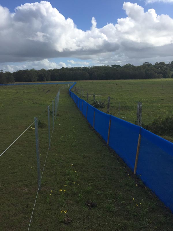 Frog Fencing | Australia-wide