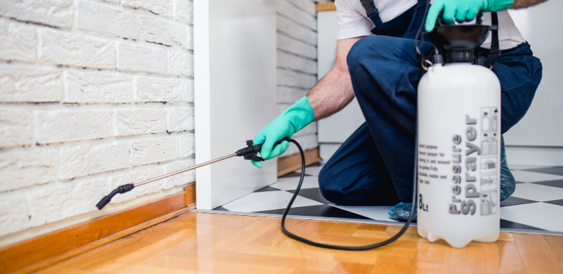 Allied Pest Control & Exterminating | Pest Control Service Brunswick Co