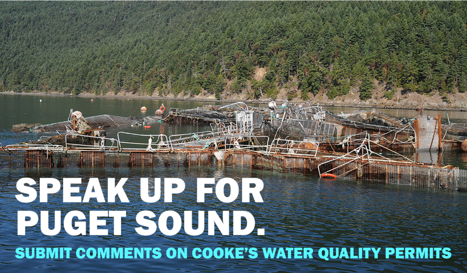 Cooke Aquaculture - Your Action is Needed Now!