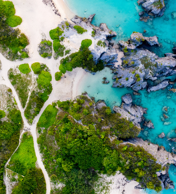 Bermuda Sun highlights 'labour limbo' - CML