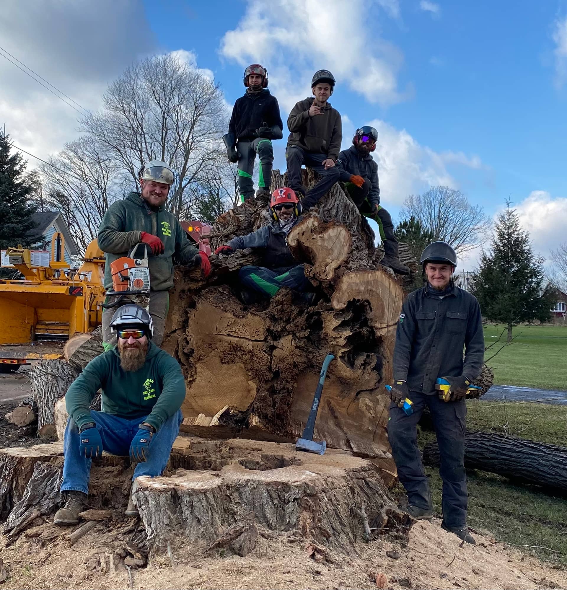 Tree Care & Removal | Walker Tree Care Inc - Proudly Serving Central ...