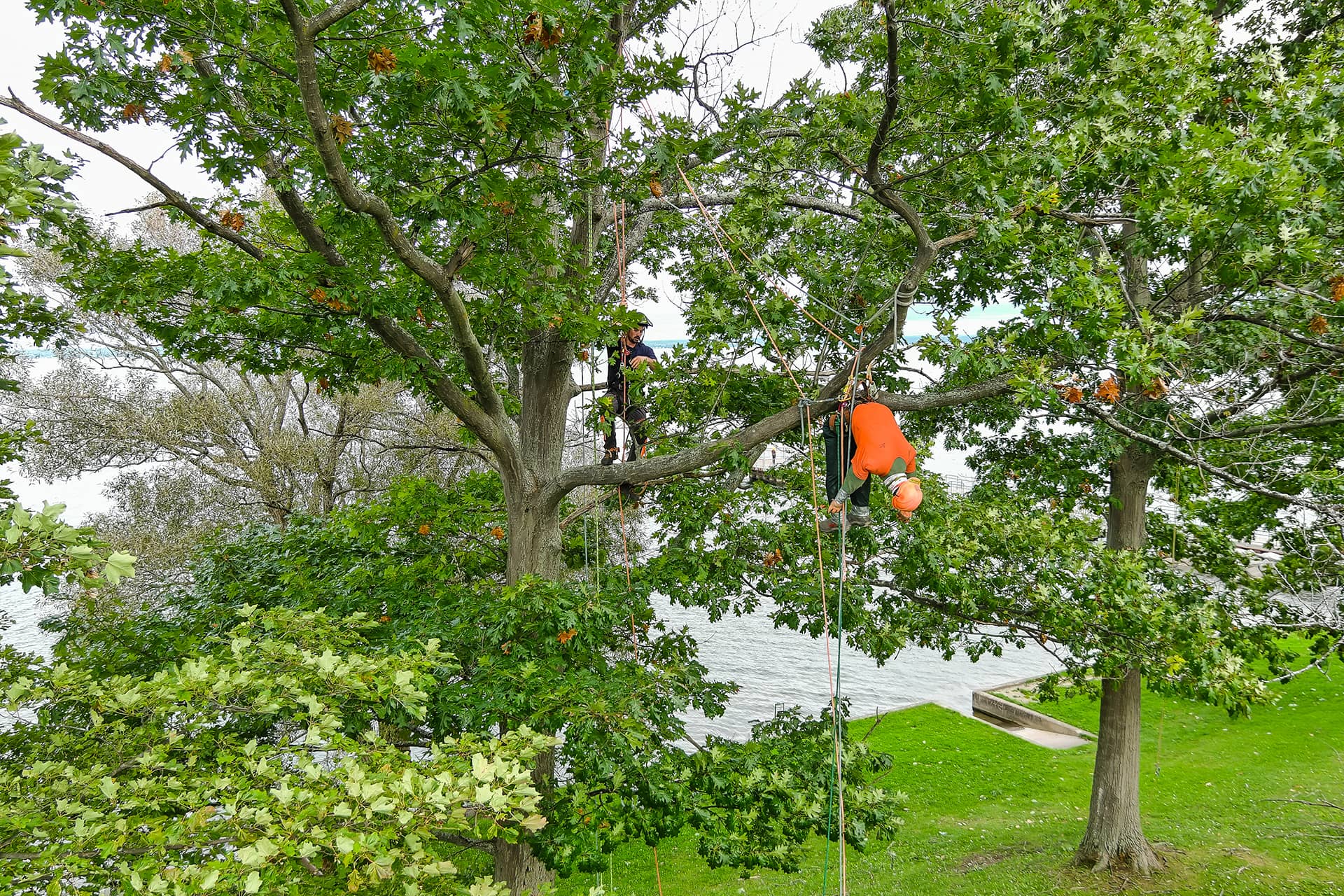 Our Team | Walker Tree Care Inc. - Chittenango, NY