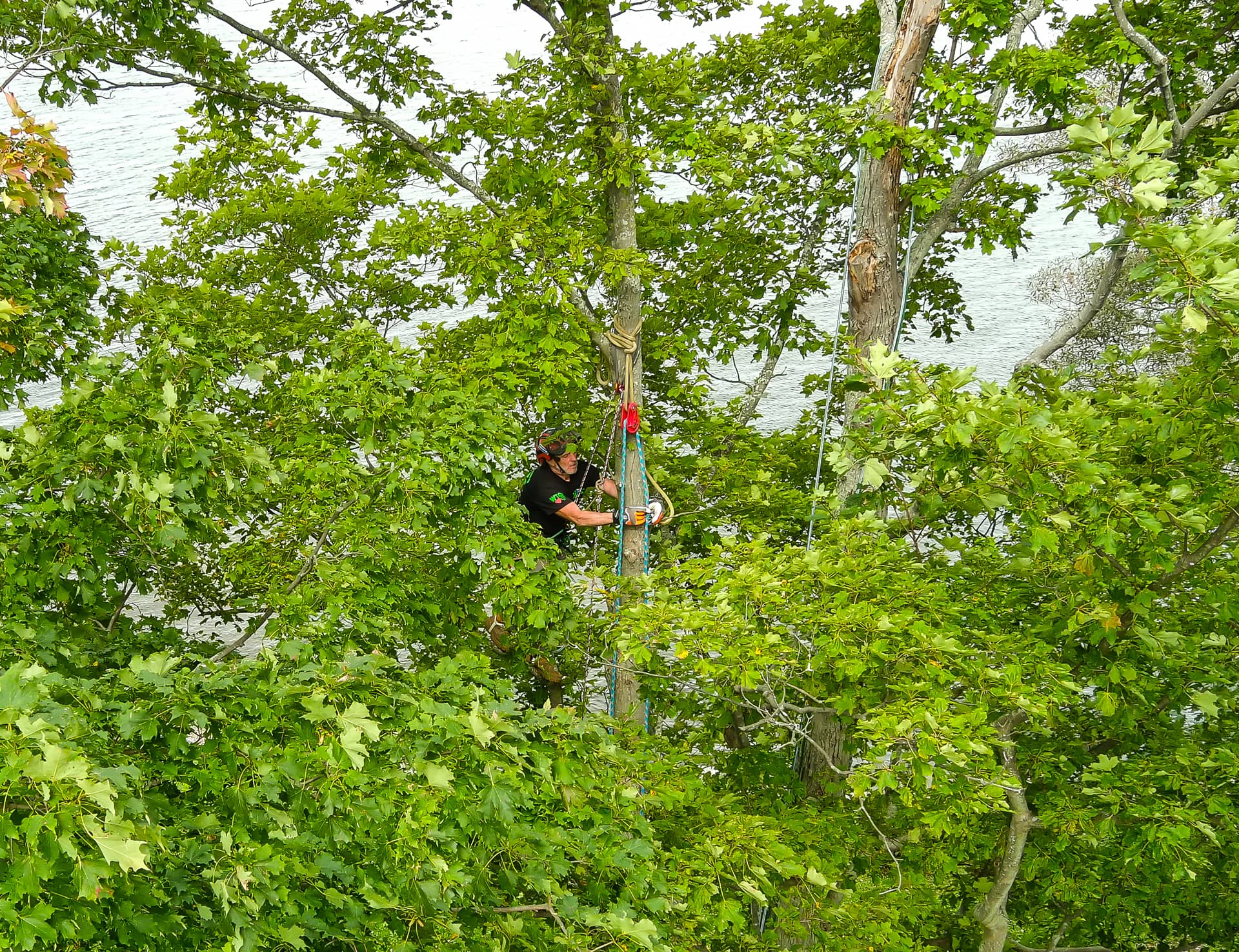 Our Team | Walker Tree Care Inc. - Chittenango, NY