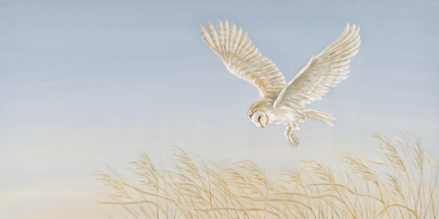 The Flint Gallery - Blakeney, Norfolk - Paintings