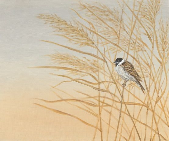 The Flint Gallery - Blakeney, Norfolk - Paintings