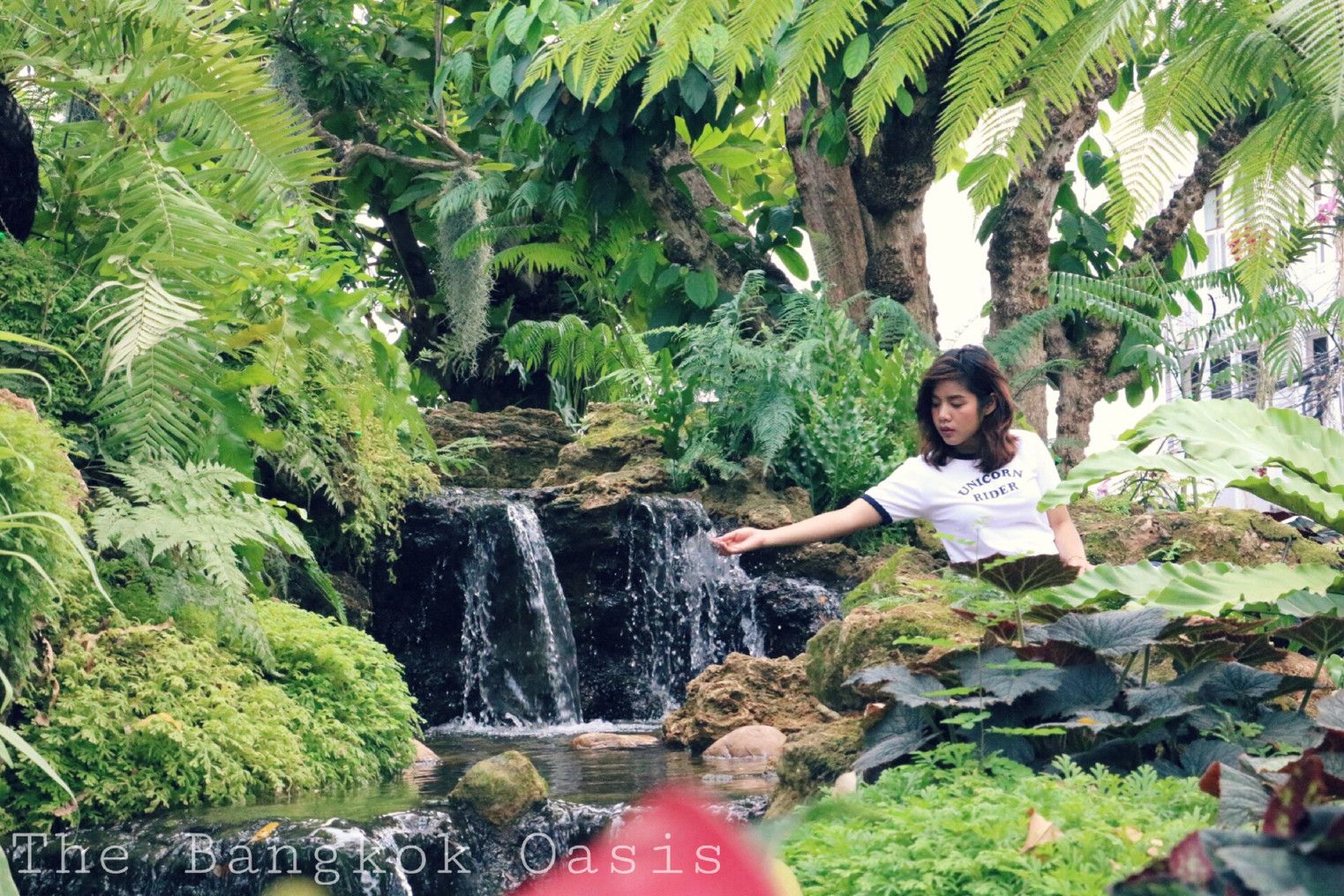 Gallery | Bangkok Oasis Hotel