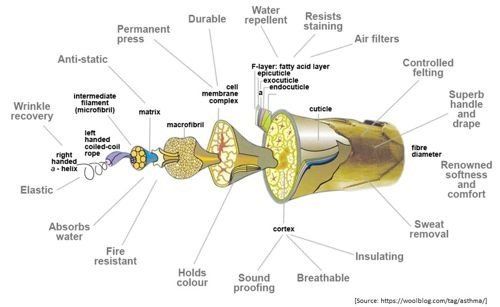 MicroSeal Sealant | Nicholasville, KY | Joey’s Carpet Care