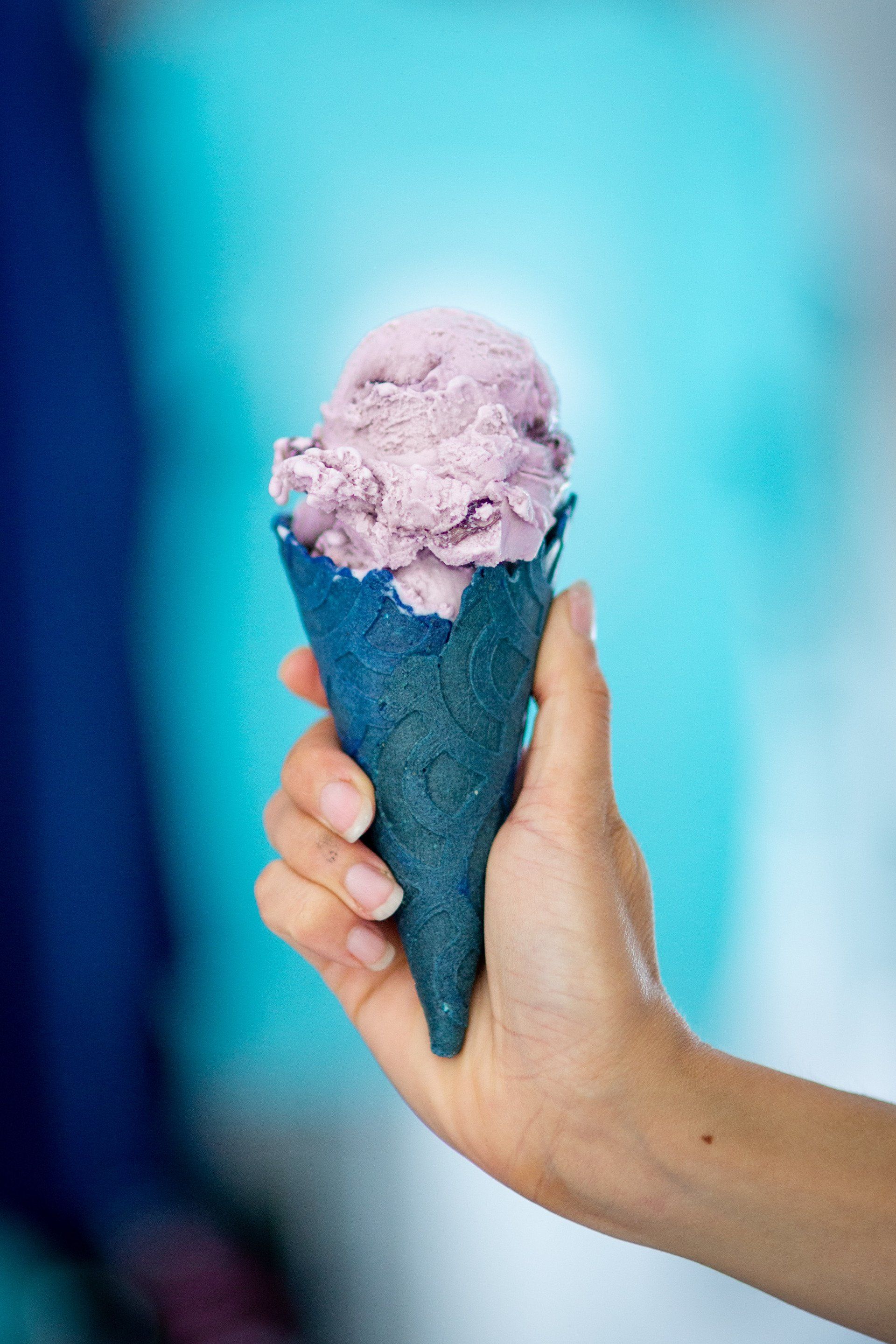 Welcome to Sugar Bowl