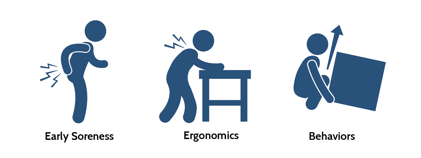 |Early Intervention | Injury Prevention | Fit For Work