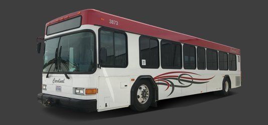 3-Passenger to 56-Passenger Fleet | Columbus, OH | Cardinal ...