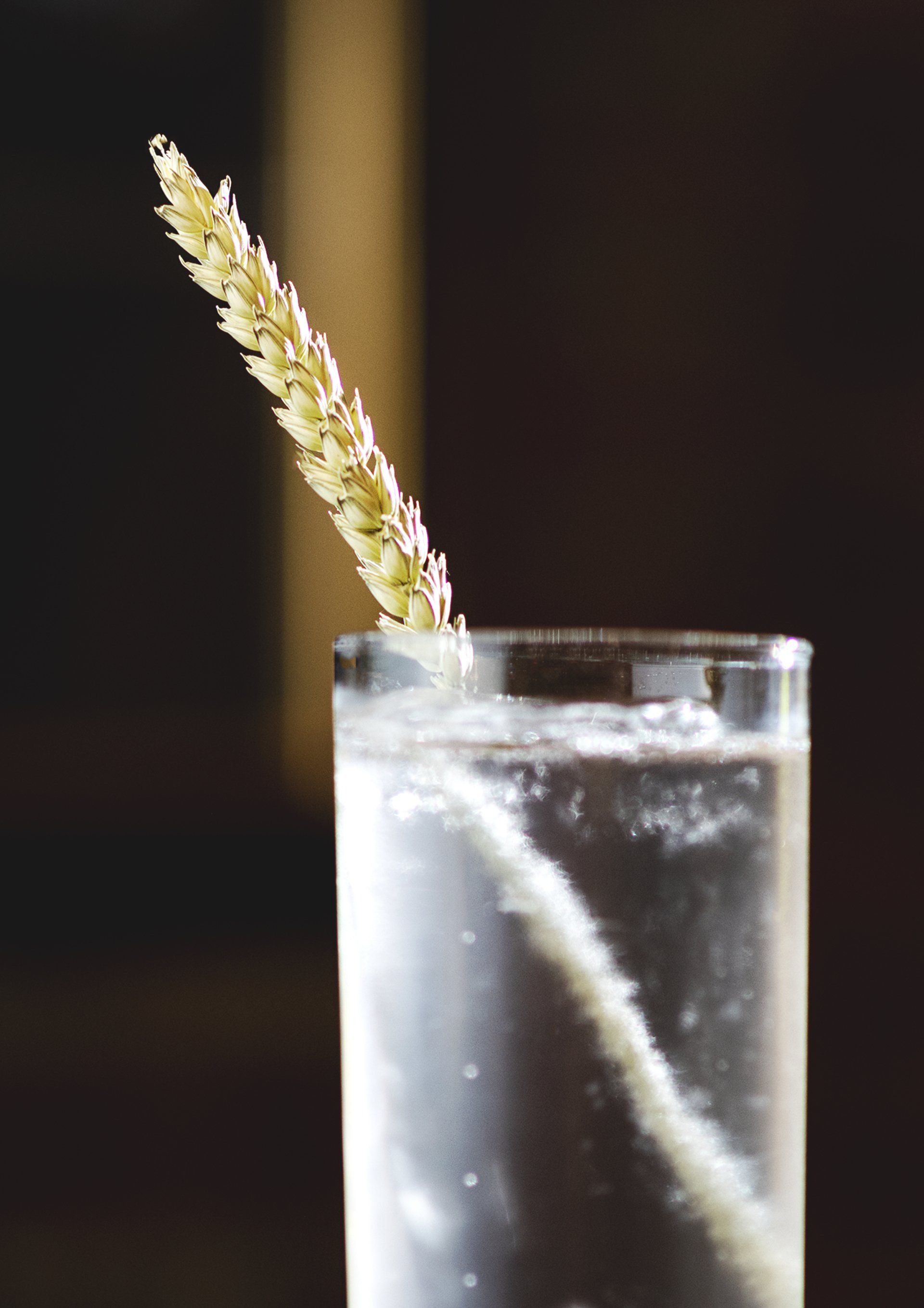 Cocktails | Edinburgh | Bramble Bar & Lounge