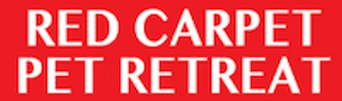 Pet Boarding in Calliope | Red Carpet Pet Retreat