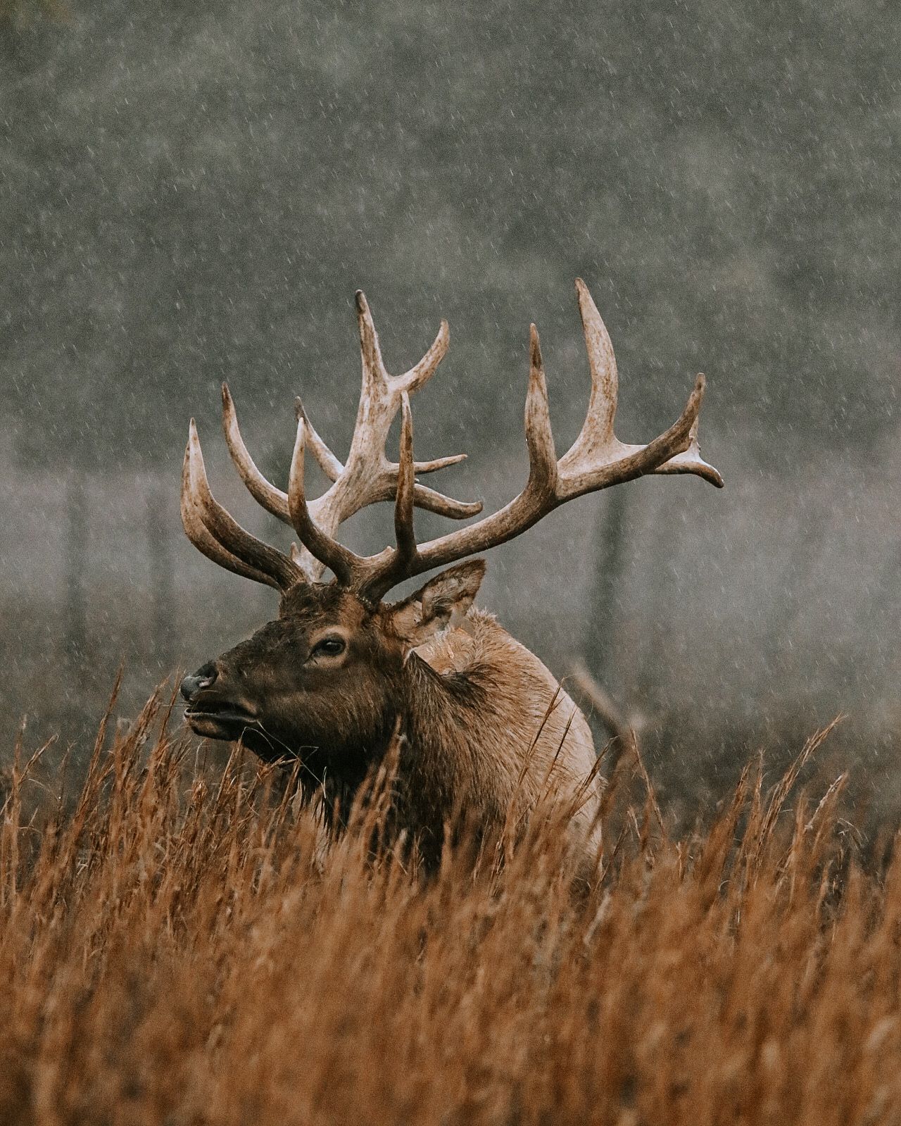 Special Events | Wilderness Hunting Lodge