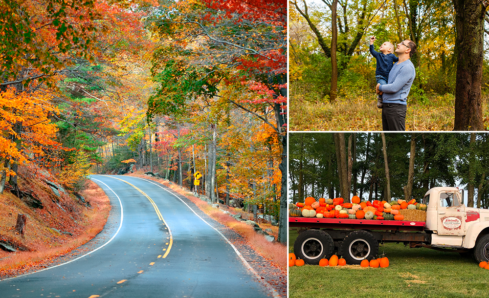 Fall Activities in Central Ohio