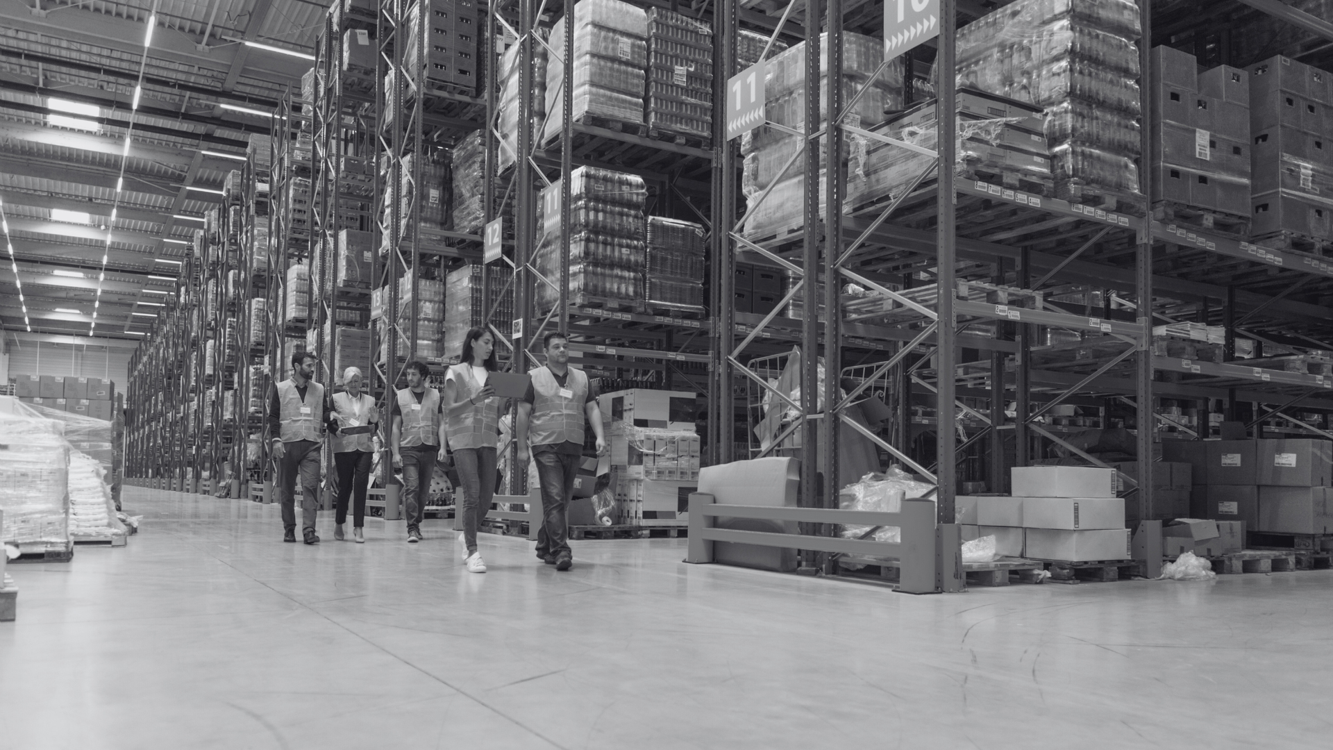How Warehouse Supplies Impact Daily Efficiency
