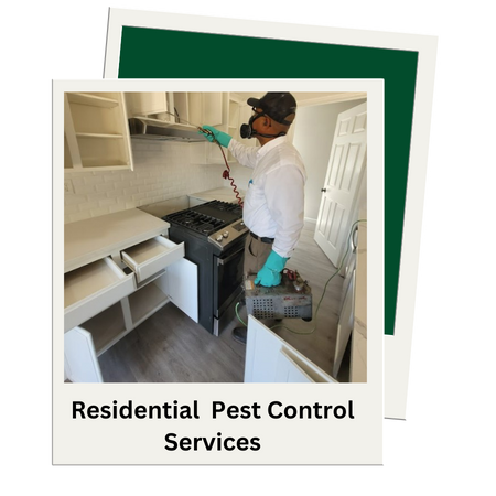 Pest Control Fresno | Valley Integrated Pest Control