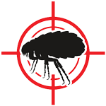 pest control-Oxford,, MS - Pickens Pest Control