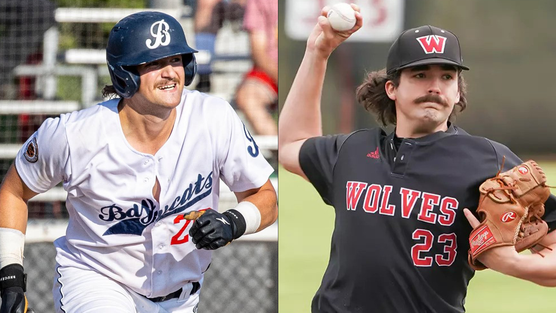 TITANS SIGN CANADIAN MACHIBRODA FROM CWL, ADD RIGHT-HANDER ALVAREZ