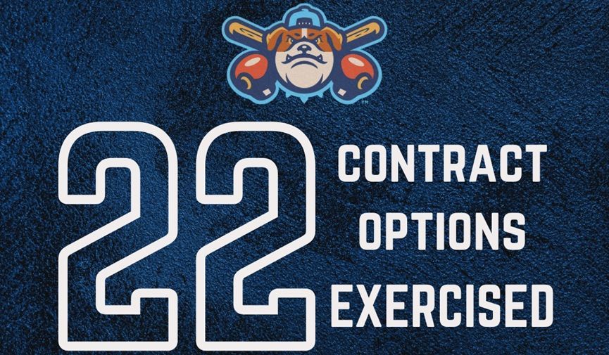 KNOCKOUTS EXERCISE 22 PLAYER OPTIONS