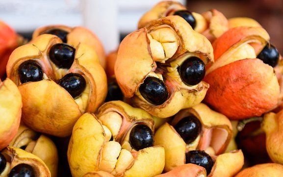 Jamaican Fruit Jamaican Fruits