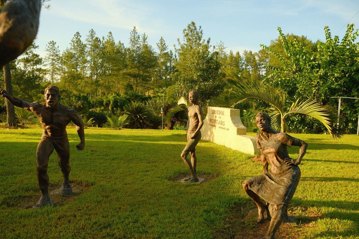 Top-rated Jamaica Tours | Explore Croydon Estate