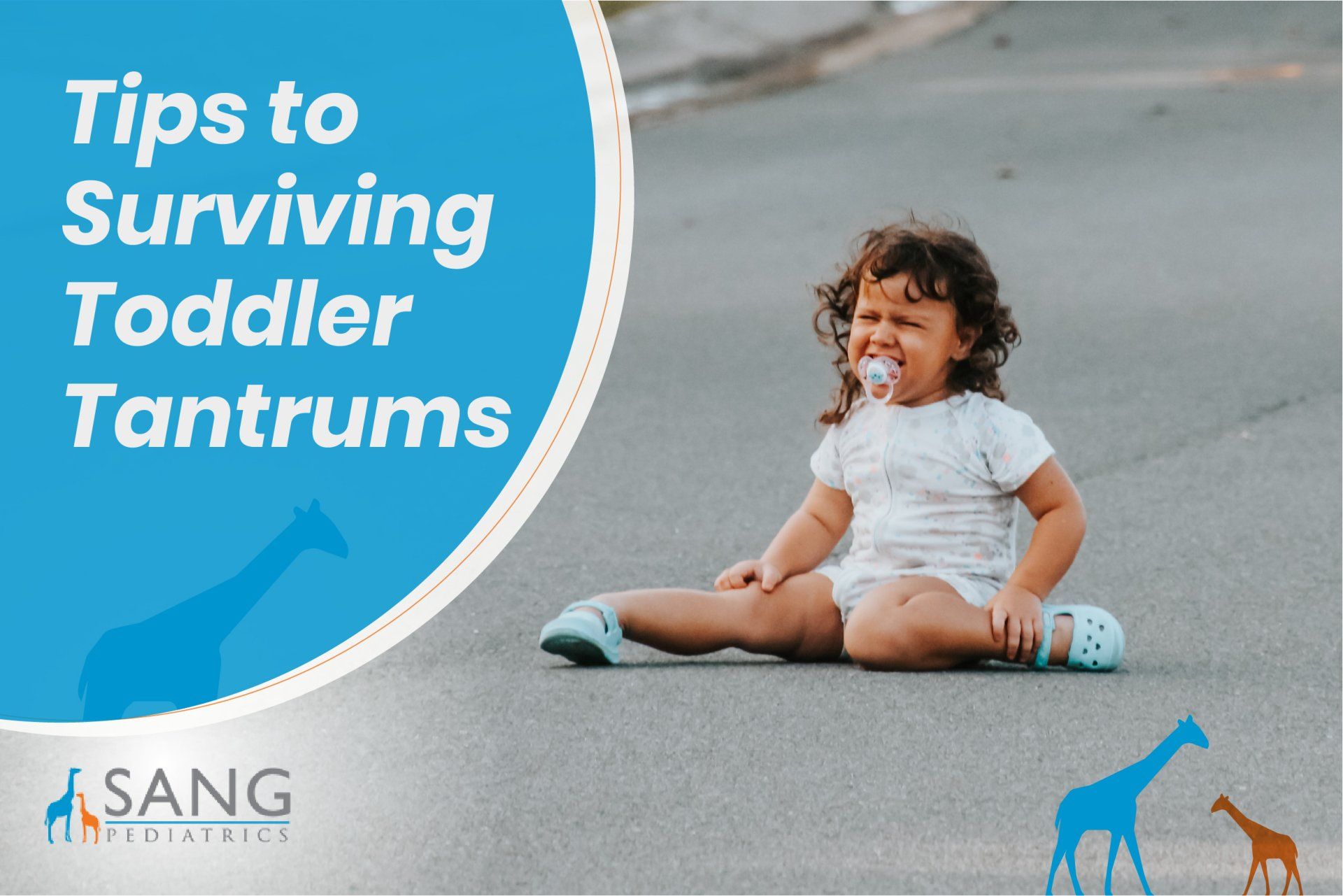 Tips To Surviving Toddler Tantrums