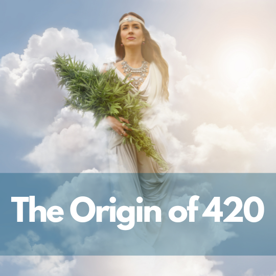 The Origin of 420