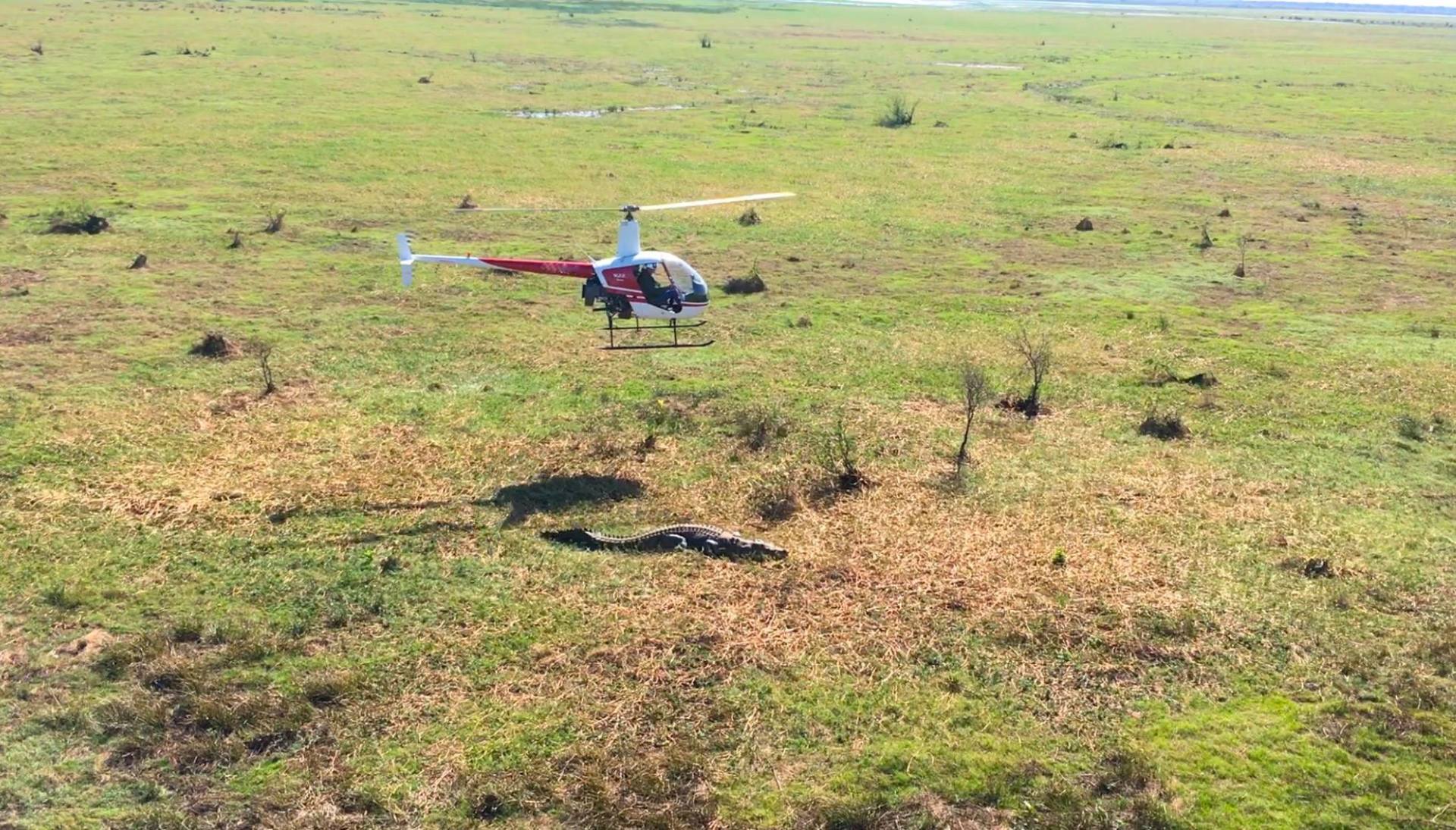 About Us - NT Heli-Ops