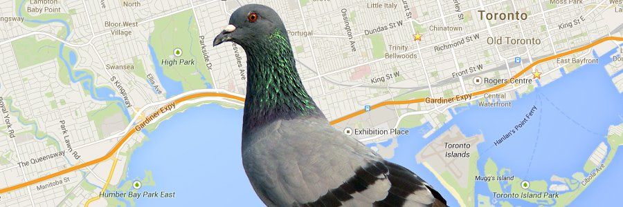 Prepare for the Latest Google Algorithm Update, Before the Google ...