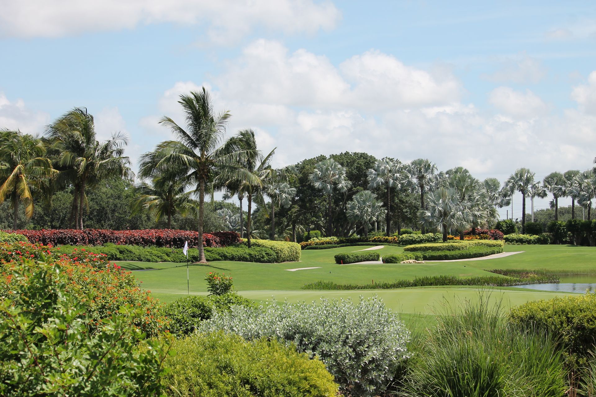Four Callaway Medalist Tour players punch their tickets to Maryland for ...